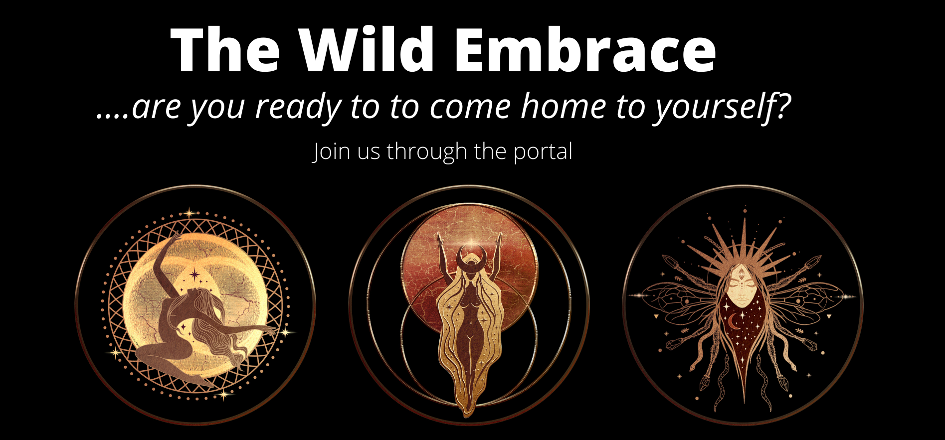 Therapeutic Coaching – The Wild Embrace